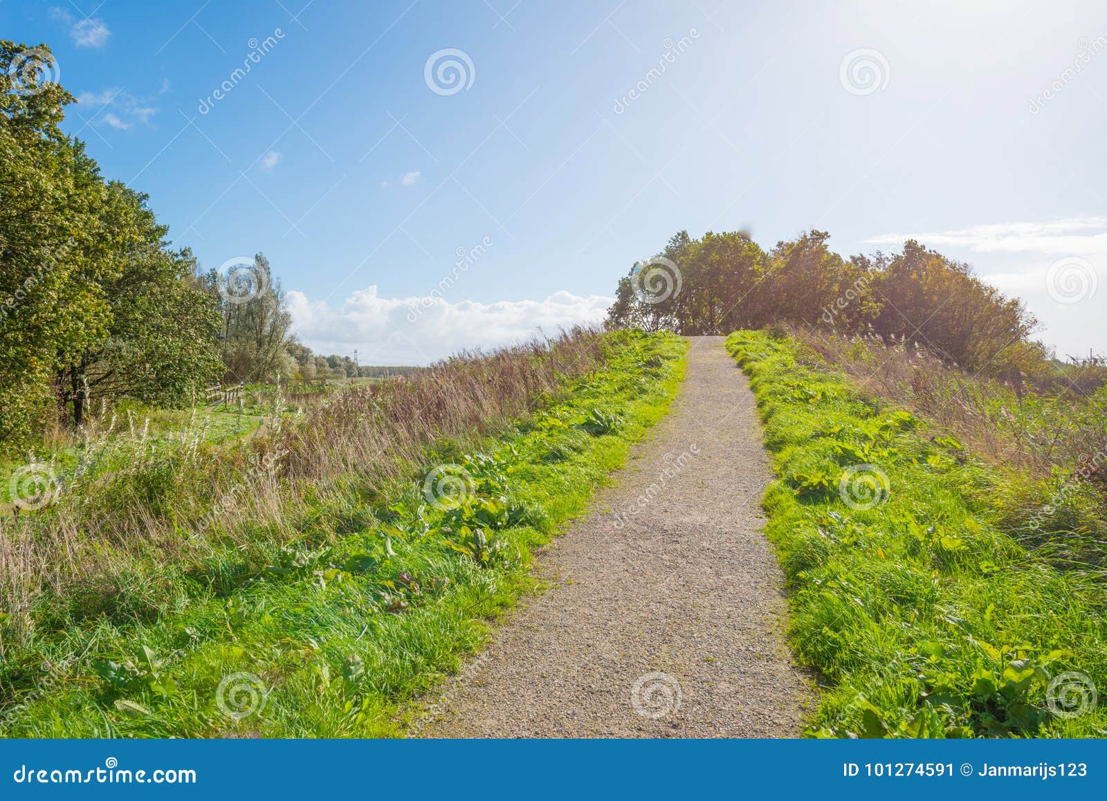 Path on a Hill in Sunlight at Fall Stock Image - Image of wetland ...