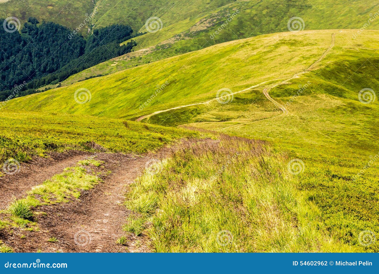 Path on the hillside stock photo. Image of meadow, nature - 54602962