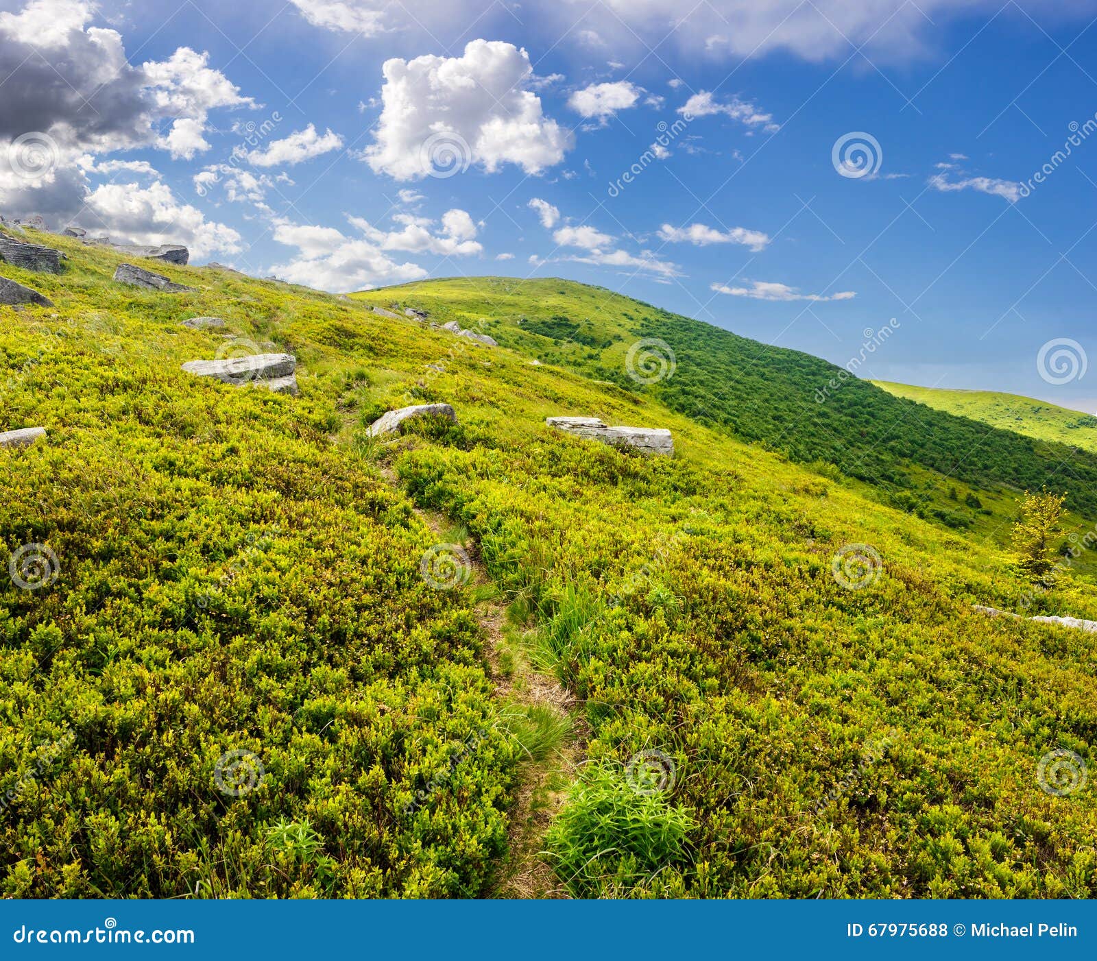 Path through Hillside with White Boulders Stock Photo - Image of travel ...