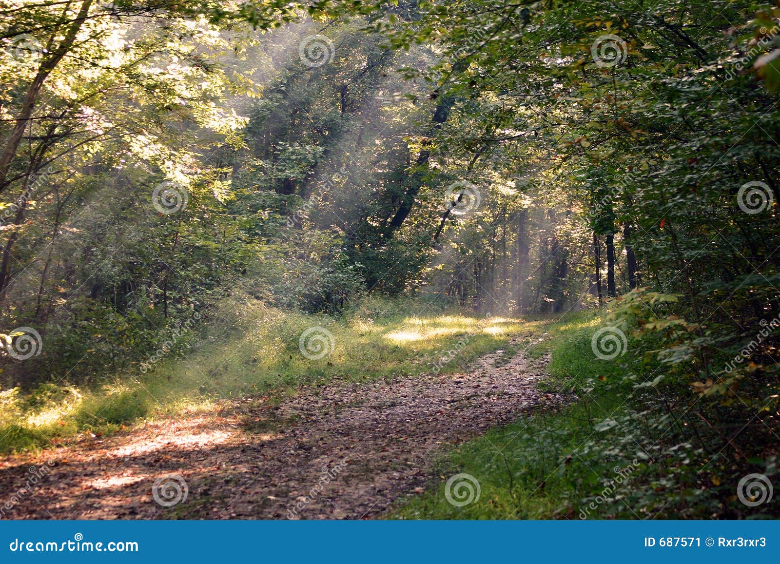 The Path Home stock image. Image of cathartic, inspire - 687571