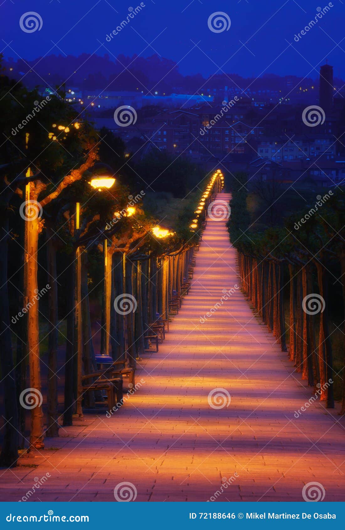 Path Illuminated with Lampposts at Night Stock Photo - Image of galea ...
