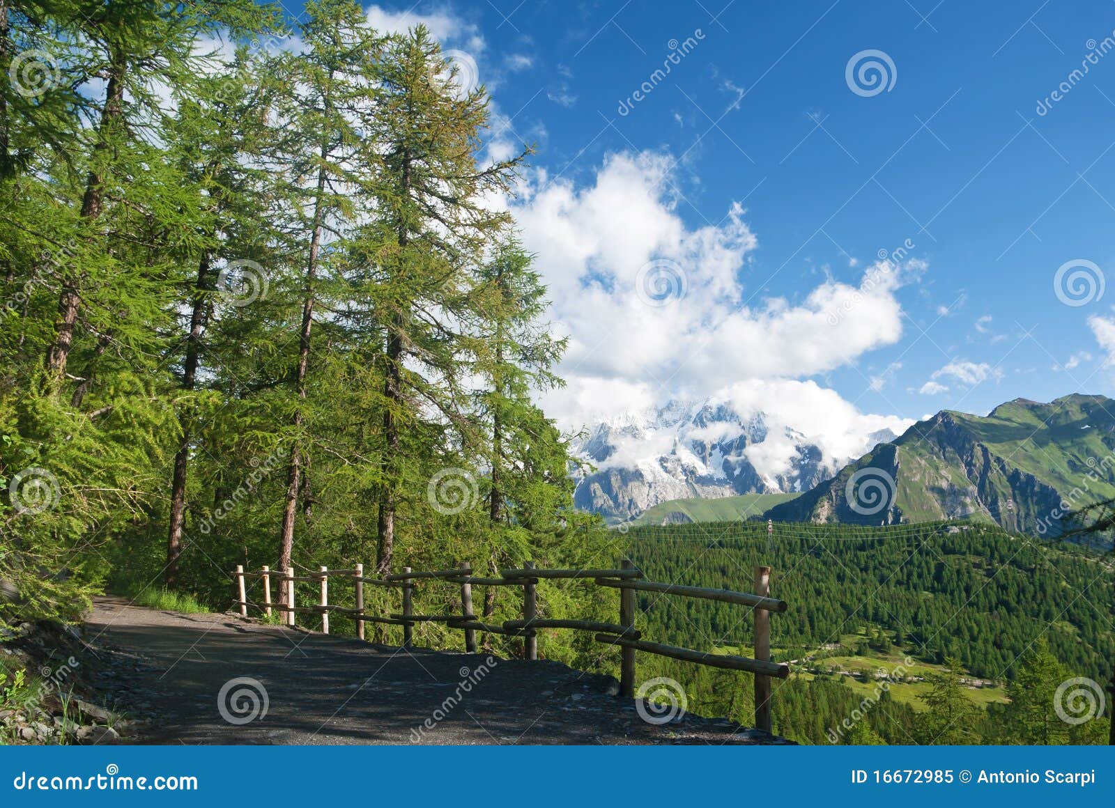 Path in italian Alps stock image. Image of path, dirt - 16672985