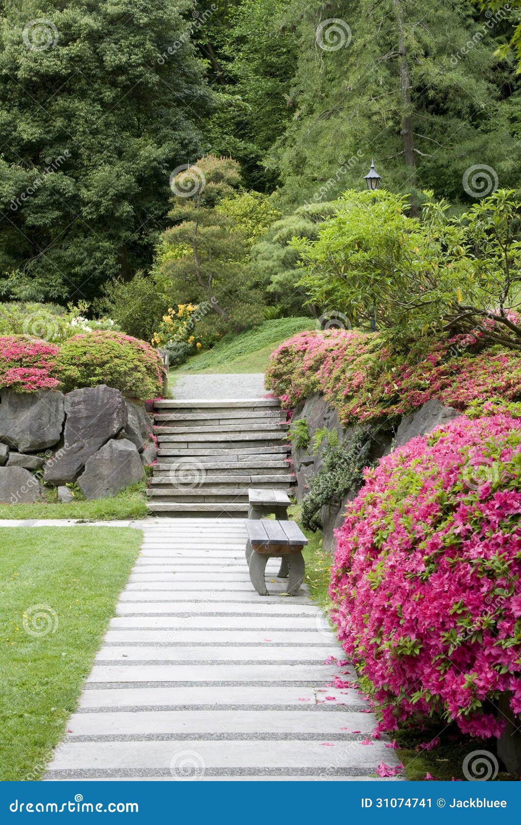 Path in Japanese garden stock image. Image of peace, dream - 31074741