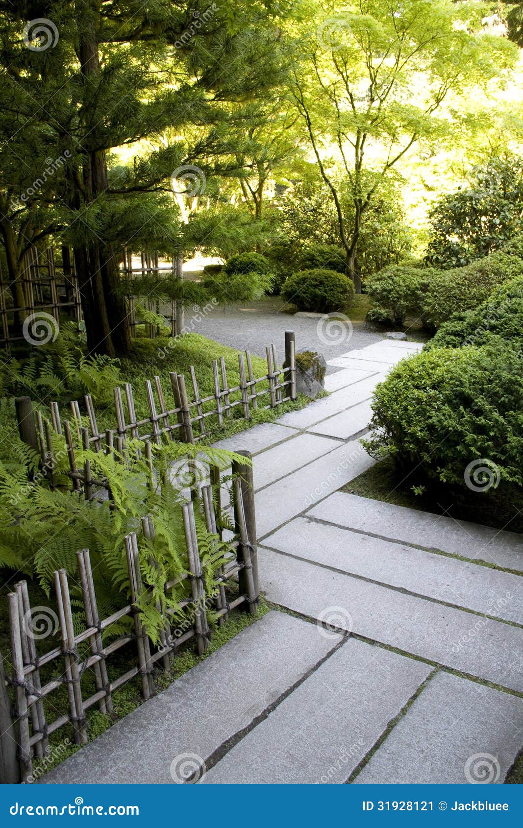 Path in Japanese garden stock image. Image of portland - 31928121