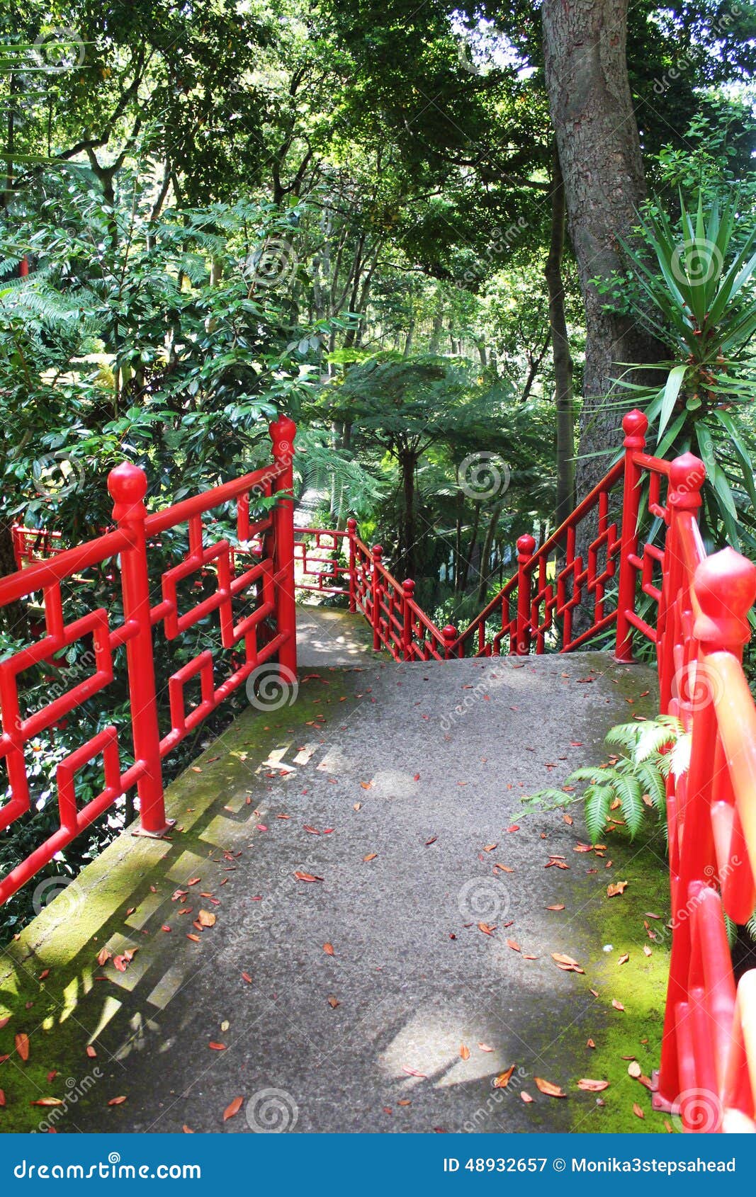 Path in Japanese garden stock image. Image of trees, rail - 48932657