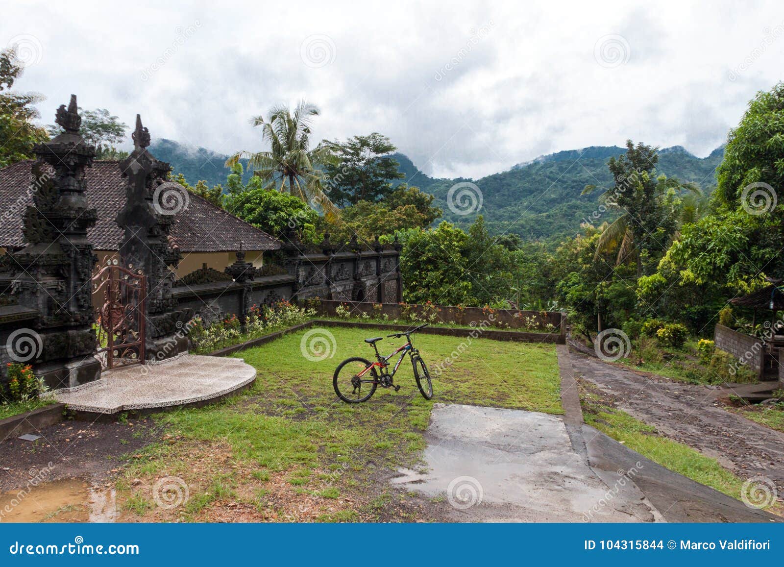Path in the jungle editorial stock image. Image of plant - 104315844