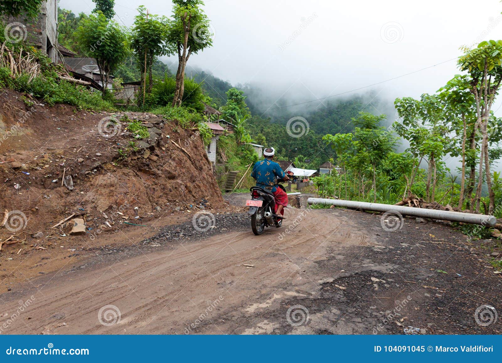 Path in the jungle editorial image. Image of path, terrain - 104091045