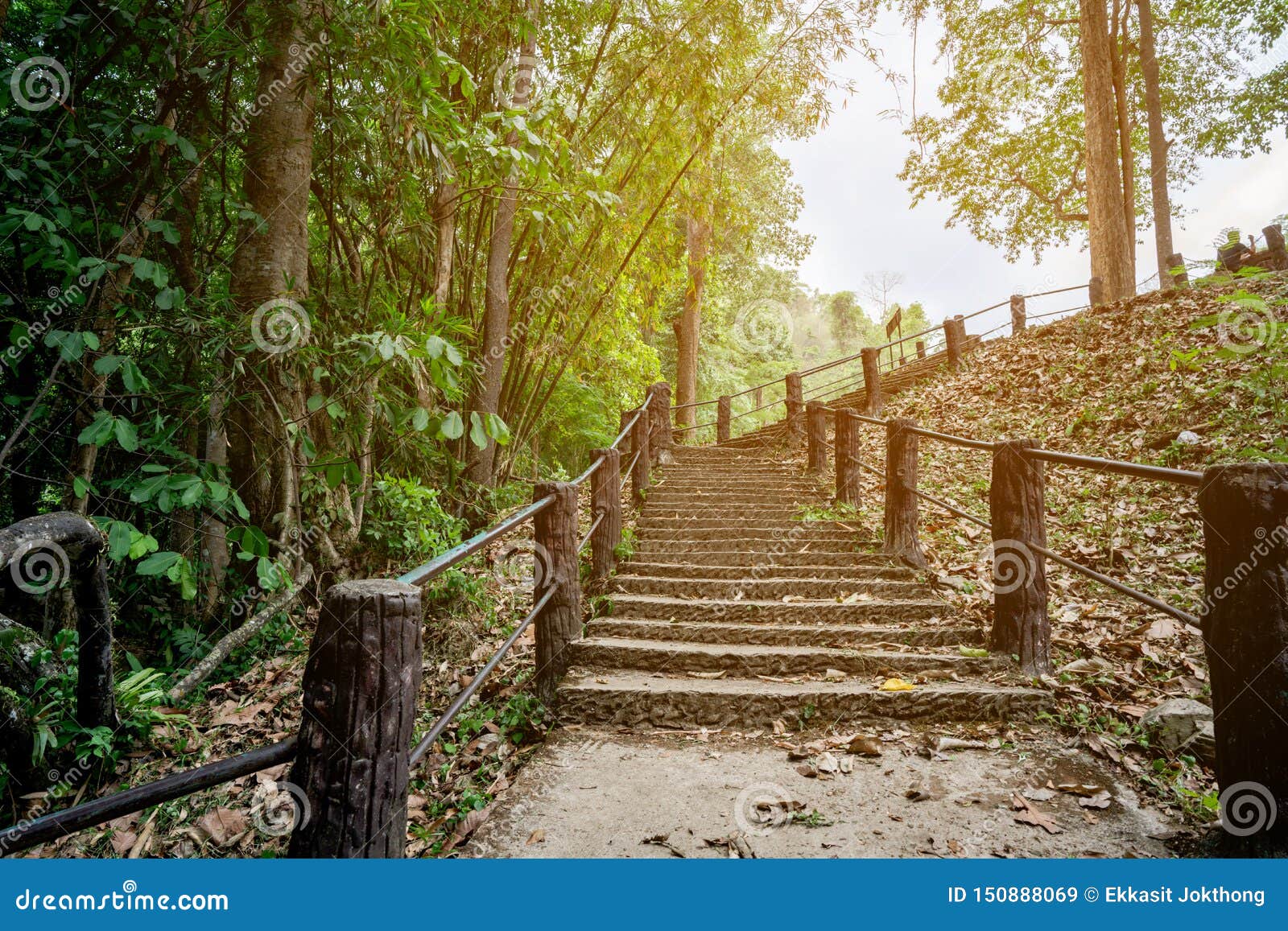 The Path is a Ladder Made of Cement. in the Park Area Stock Image ...