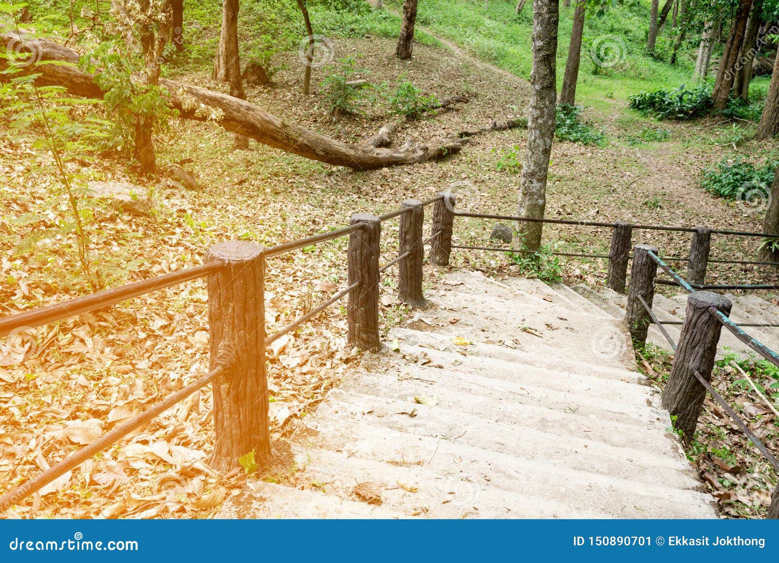 The Path is a Ladder Made of Cement. in the Park Area Stock Image ...
