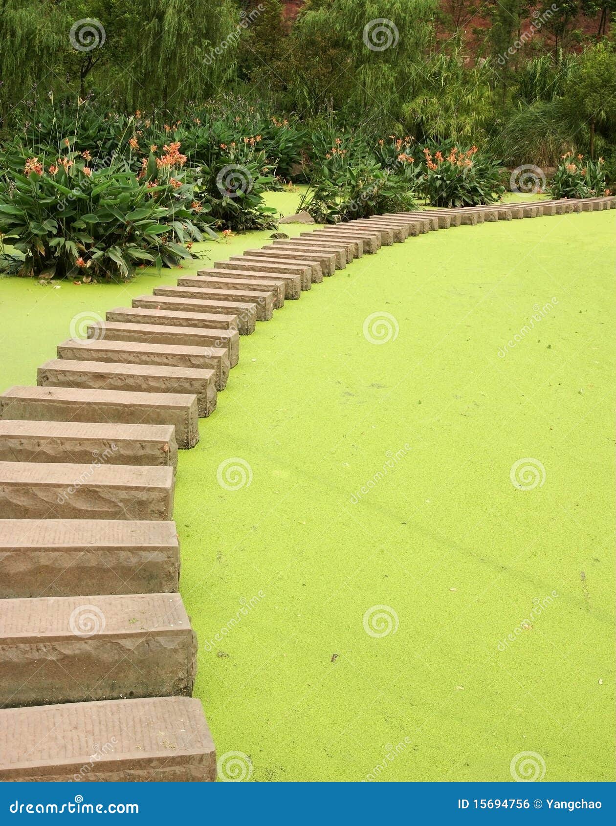 Path in lake stock photo. Image of stone, botanical, step - 15694756