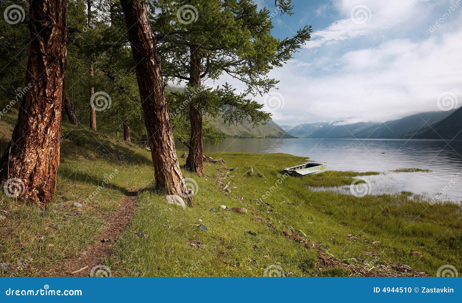 Path by a lake stock photo. Image of woods, path, grass - 4944510