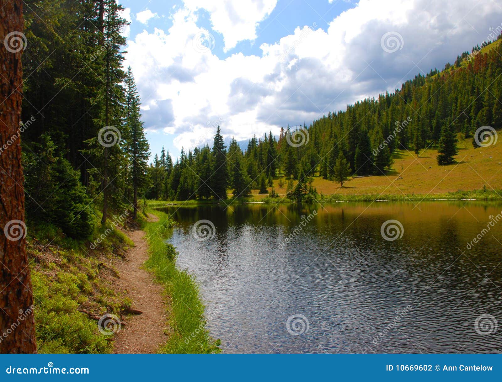 Path by a Lake in the Rockies Stock Photo - Image of firs, view: 10669602