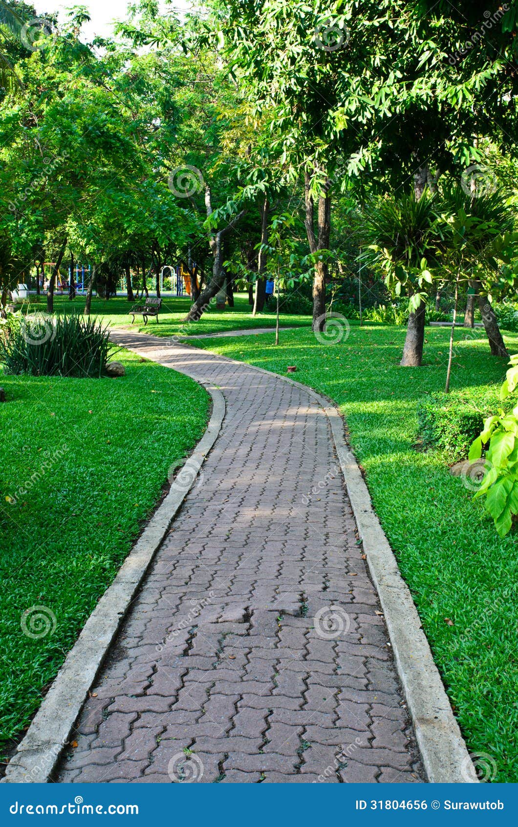 Path through the Landscaped Park Stock Photo - Image of sunshine ...