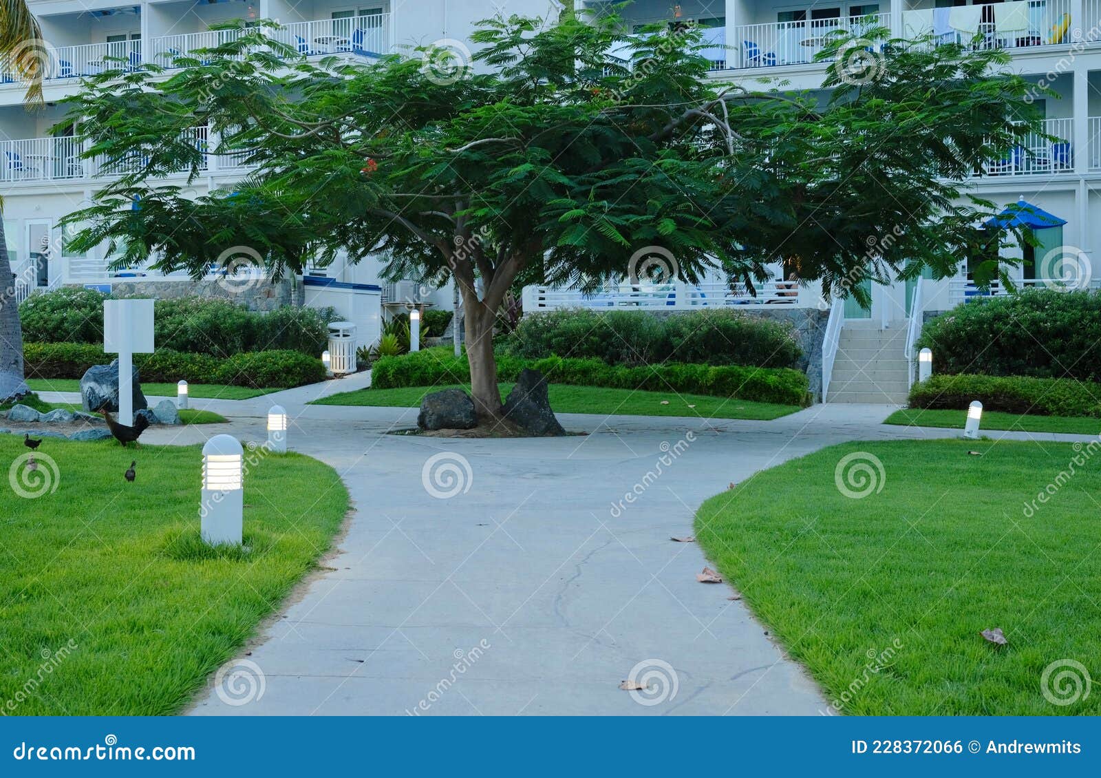 Path through Landscaping in Luxury Tropical Setting Stock Photo - Image ...