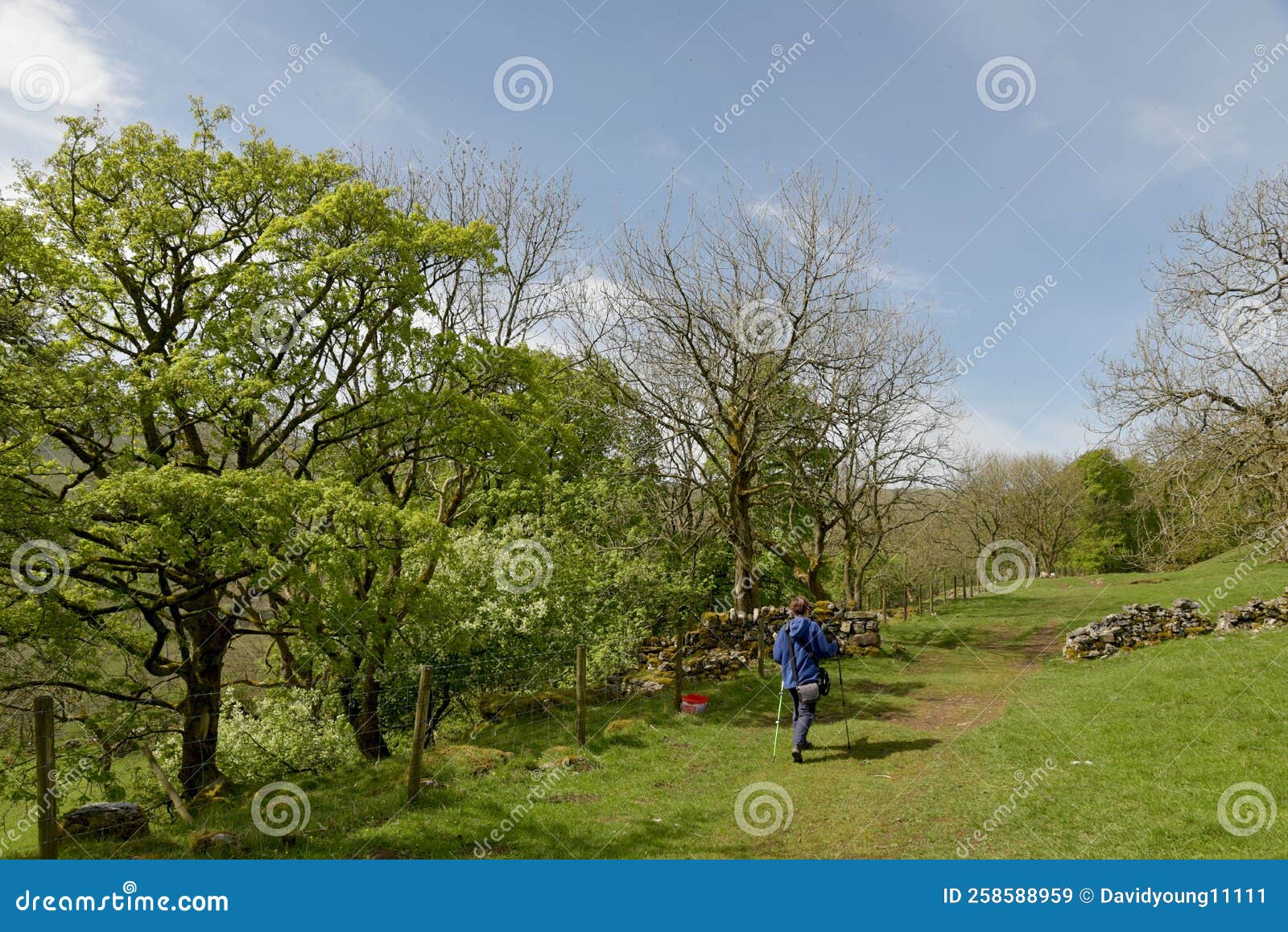 Path in Langstrothdale stock image. Image of england - 258588959