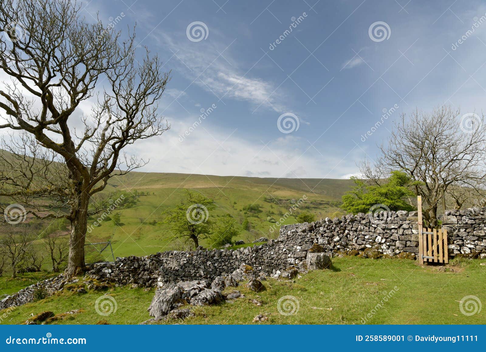 Path in Langstrothdale stock image. Image of spring - 258589001