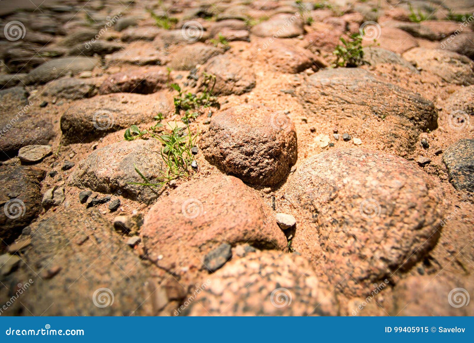 Path from Large Stones with Grass Stock Image - Image of road, focus ...