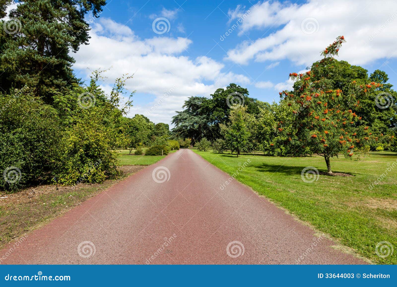 Path Leading through Beautiful Summer Garden Stock Image - Image of ...