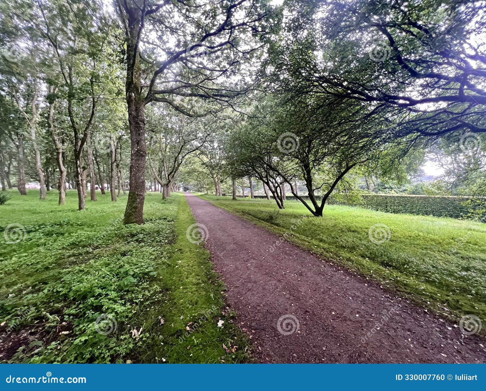 A Path Leading into the Distance in a Park, Beautiful Wallpapers with a ...