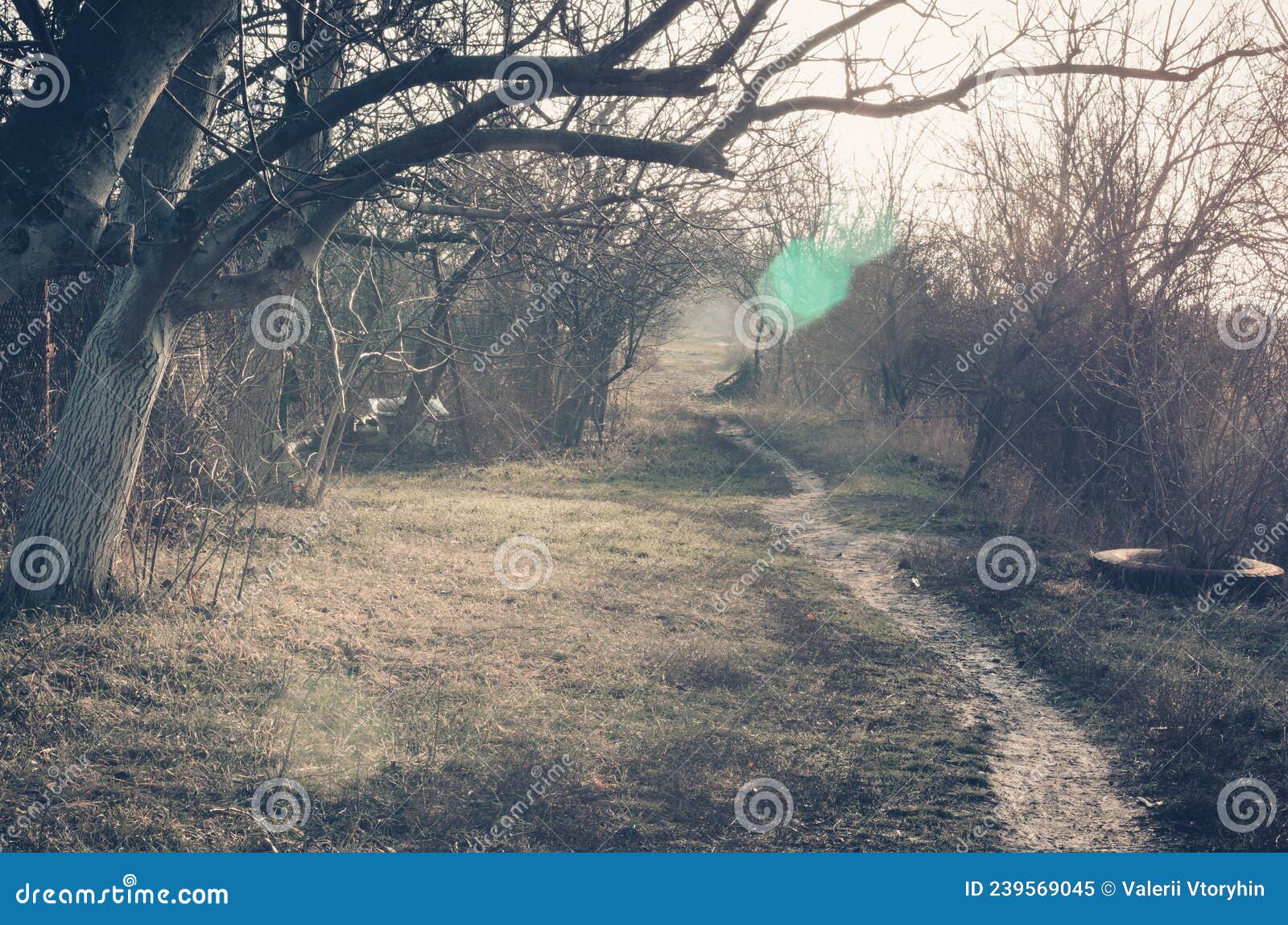 The Path Leading into the Distance To the Unknown. Stock Image - Image ...