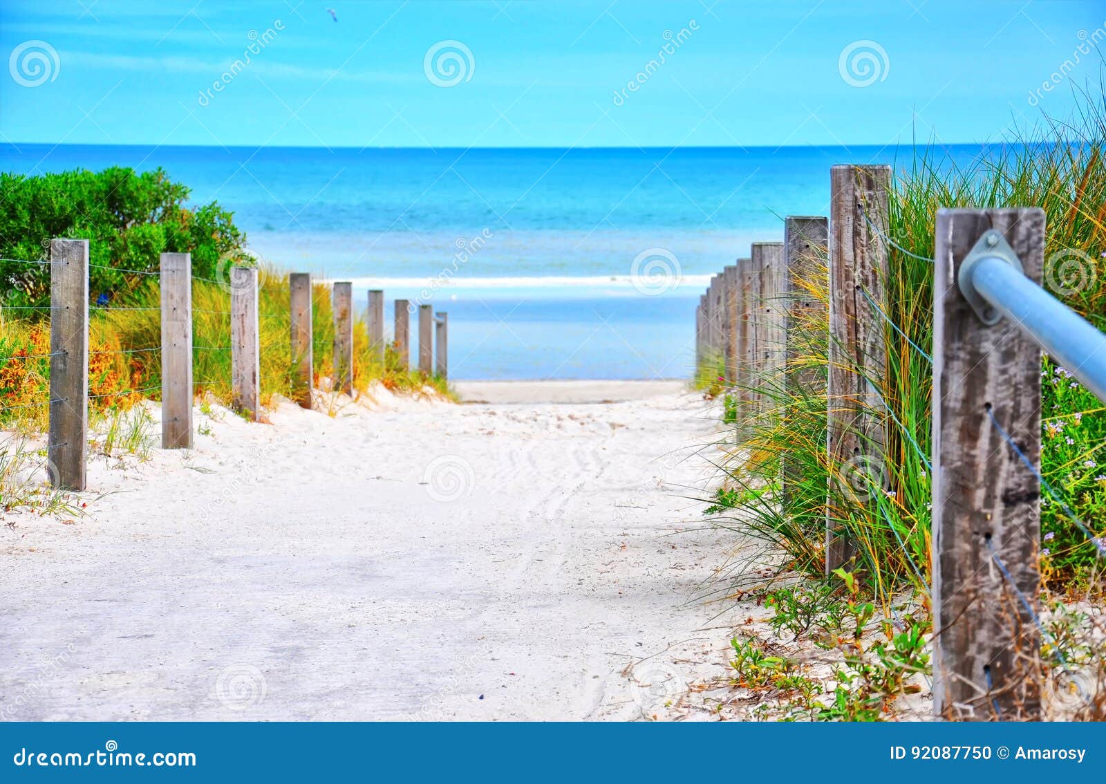 Path Leading Down To the Beach Stock Photo - Image of copy, room: 92087750