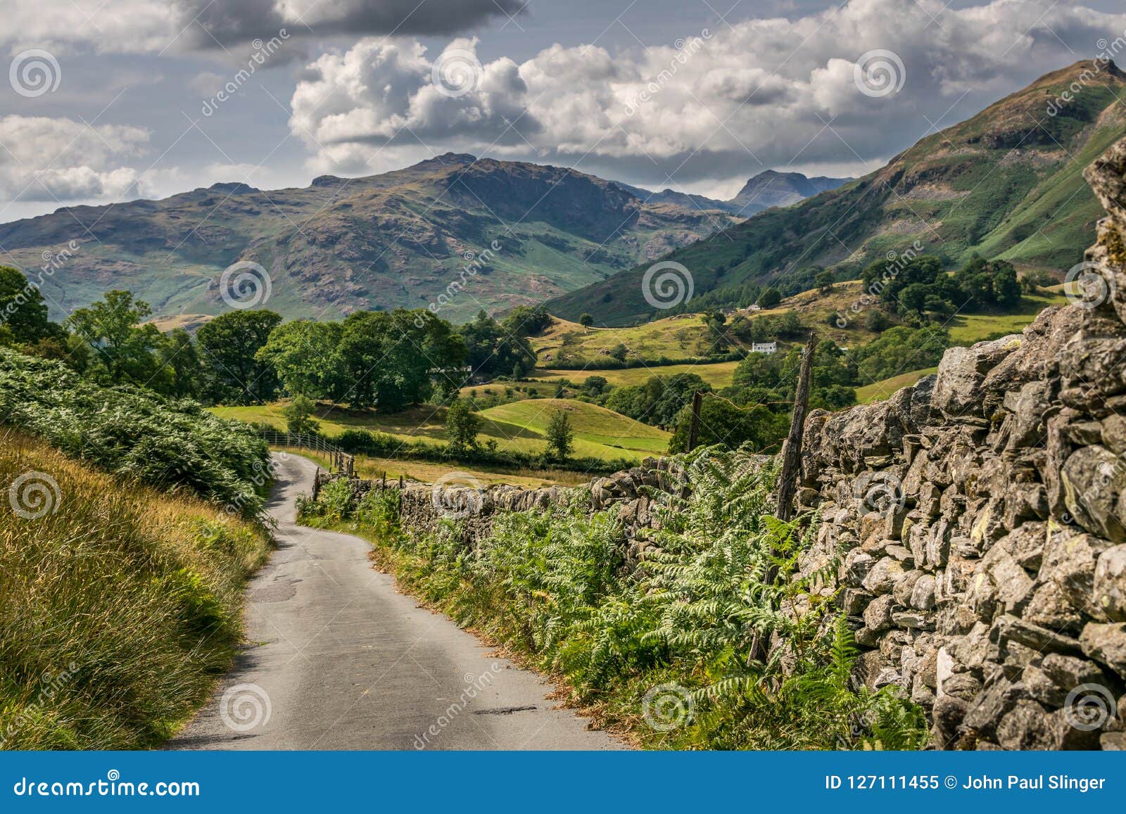A Path Leading through a Field Toward Forest and Mountains. Stock Image ...