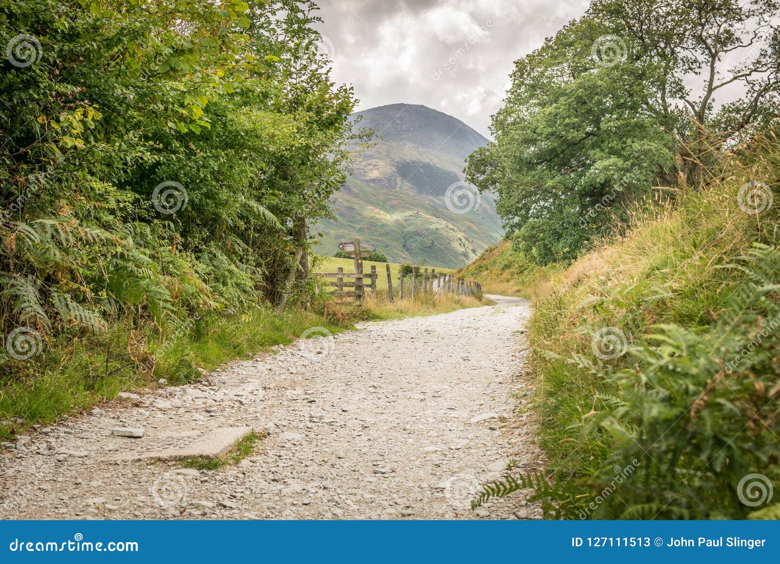 A Path Leading through a Field Toward Forest and Mountains. Stock Image ... A Path Leading through a Field Toward Forest and Mountains. Stock Image ...