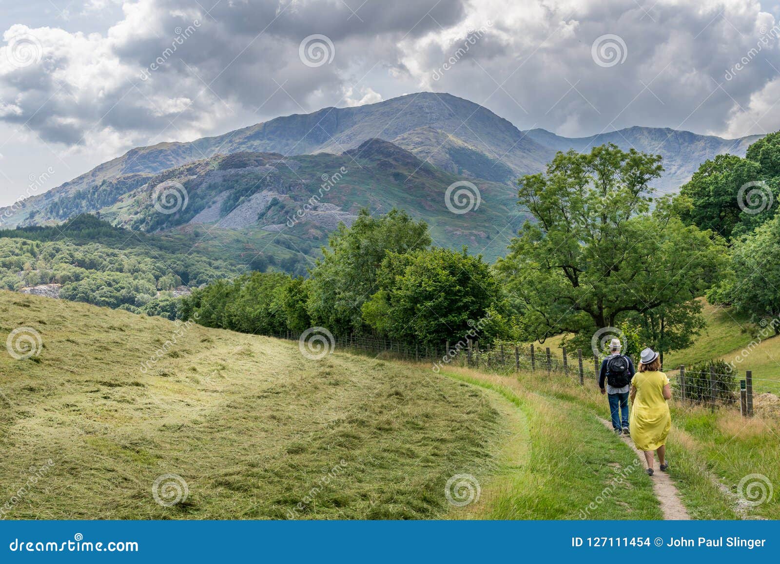 A Path Leading through a Field Towards a Forest and Mountains. Stock ... A Path Leading through a Field Towards a Forest and Mountains. Stock ...