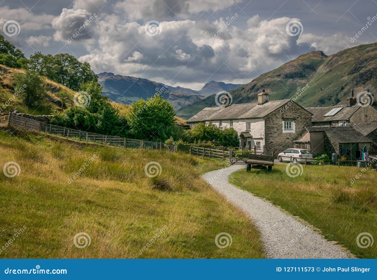 A Path Leading through a Field Towards a Forest and Mountains. Stock ... A Path Leading through a Field Towards a Forest and Mountains. Stock ...