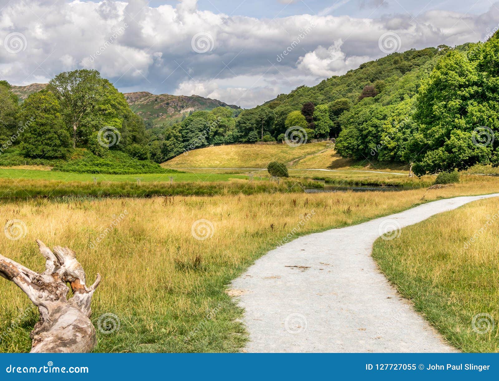 A Path Leading through a Field Towards a Forest and Mountains. Stock ... A Path Leading through a Field Towards a Forest and Mountains. Stock ...
