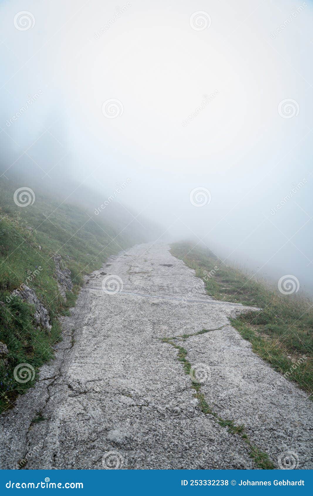Path leading into the fog stock photo. Image of depressions - 253332238