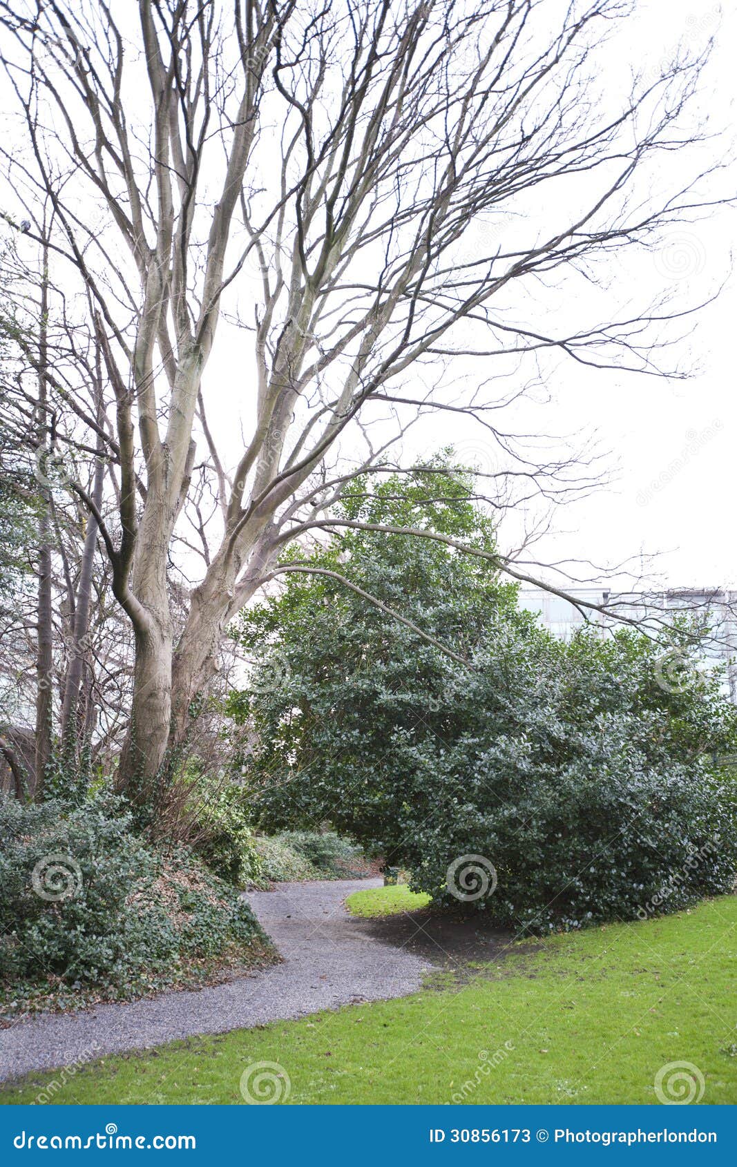 Path Leading through Gardens Stock Image - Image of bushes, dublin ...