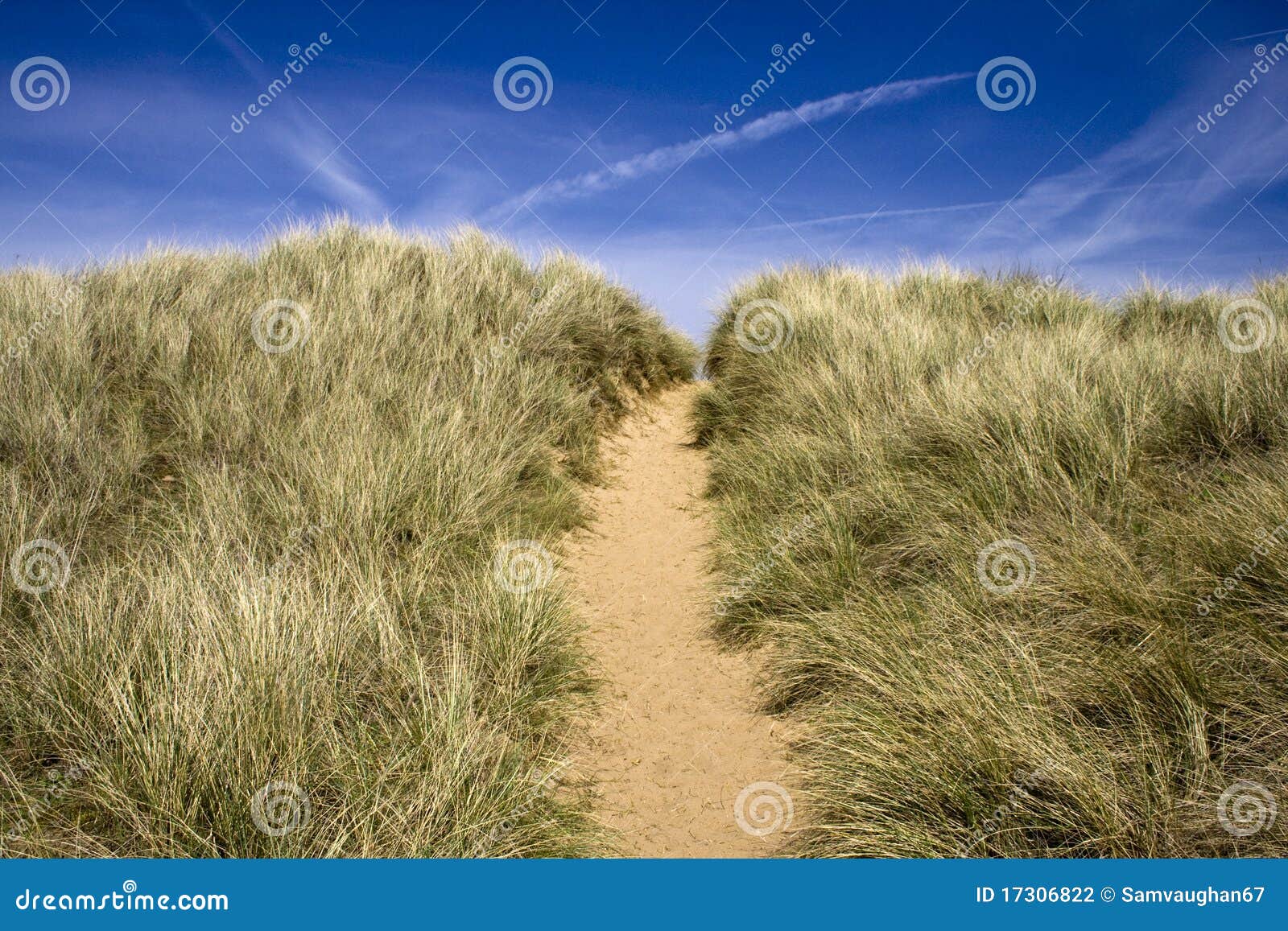 A Path Leading Over a Sand Dune Stock Photo - Image of walking, sand ...