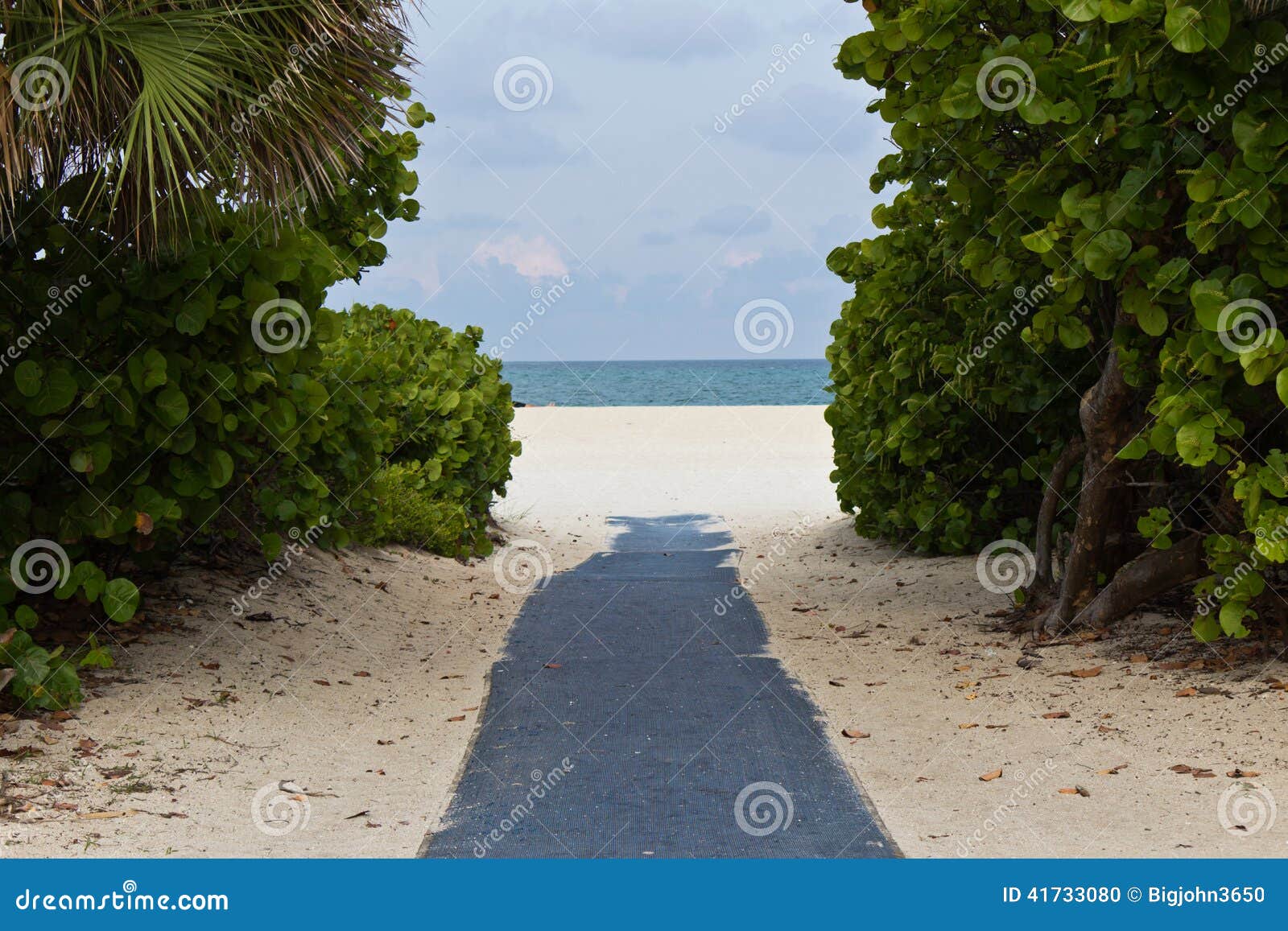Path leading to the beach stock photo. Image of beach - 41733080