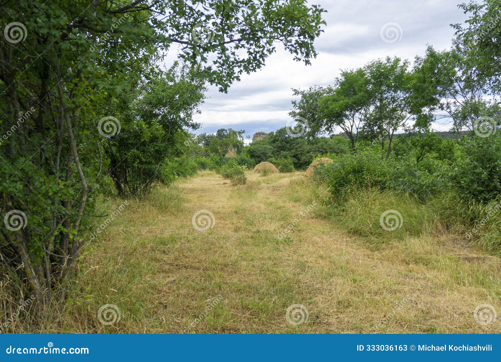 A Path Leading To a Field with a Haystack. Yellow Mown Grass, Trees and ...