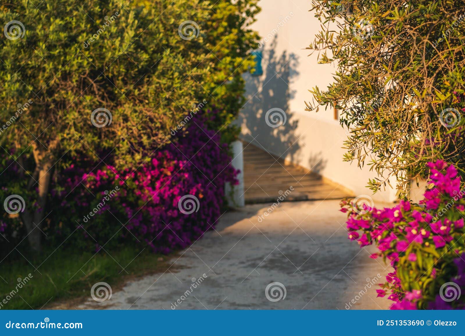 Path Leading To the House in the Summer Garden, Abstract Summer ...