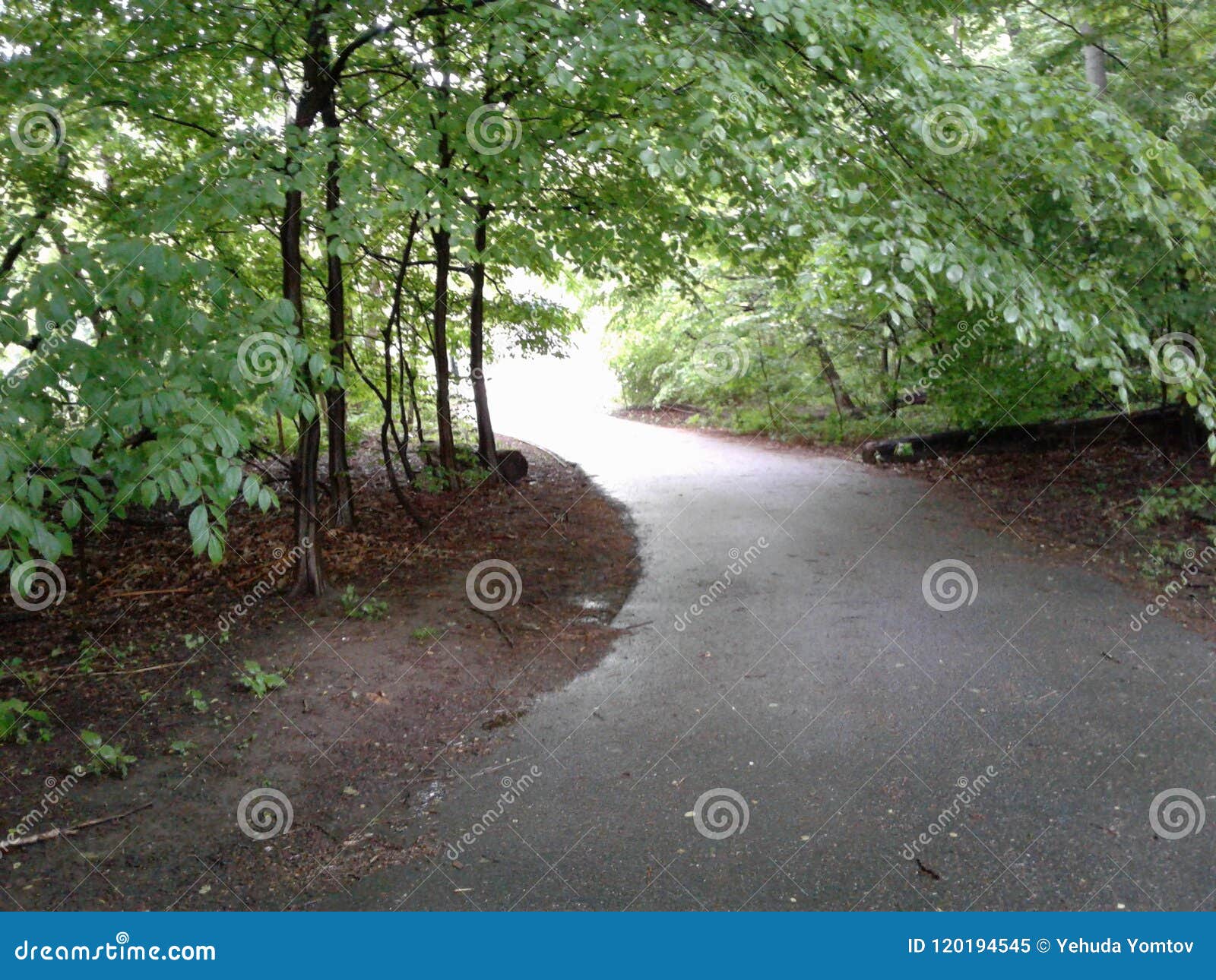 Come into the Light stock image. Image of path, light - 120194545