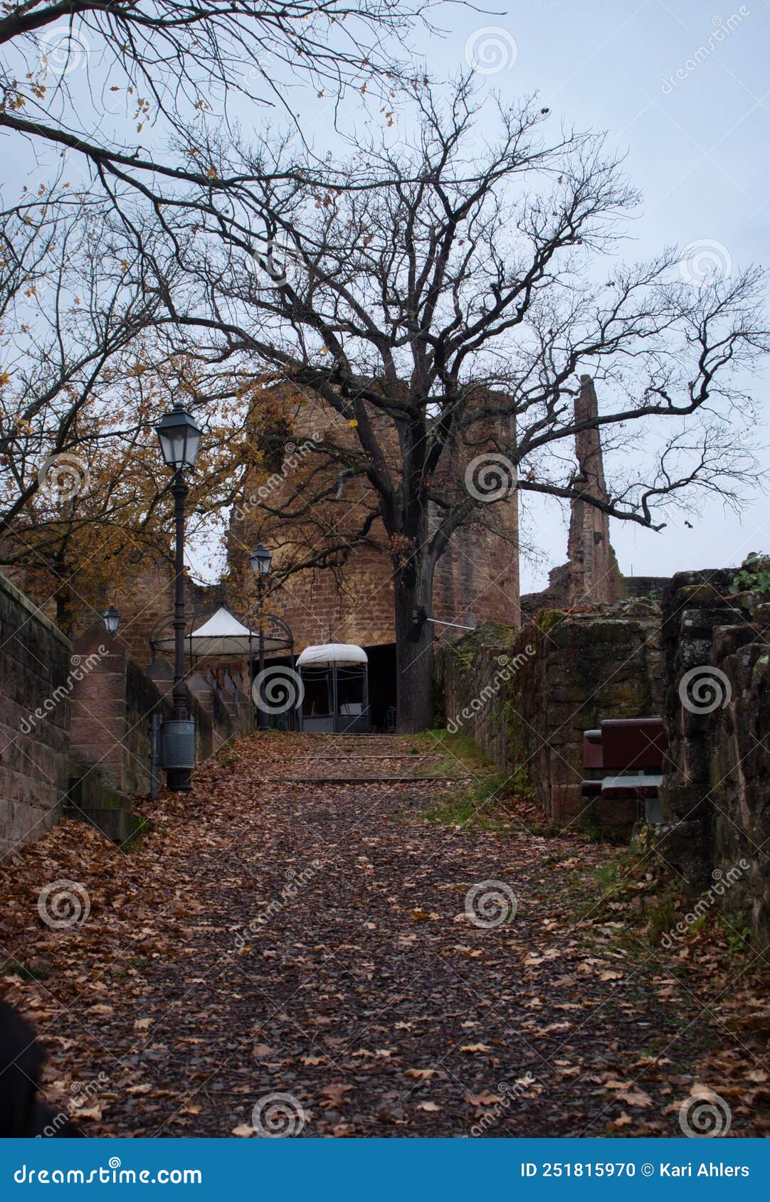 Path Leading To Tree in Front of Castle Tower Editorial Image - Image ...
