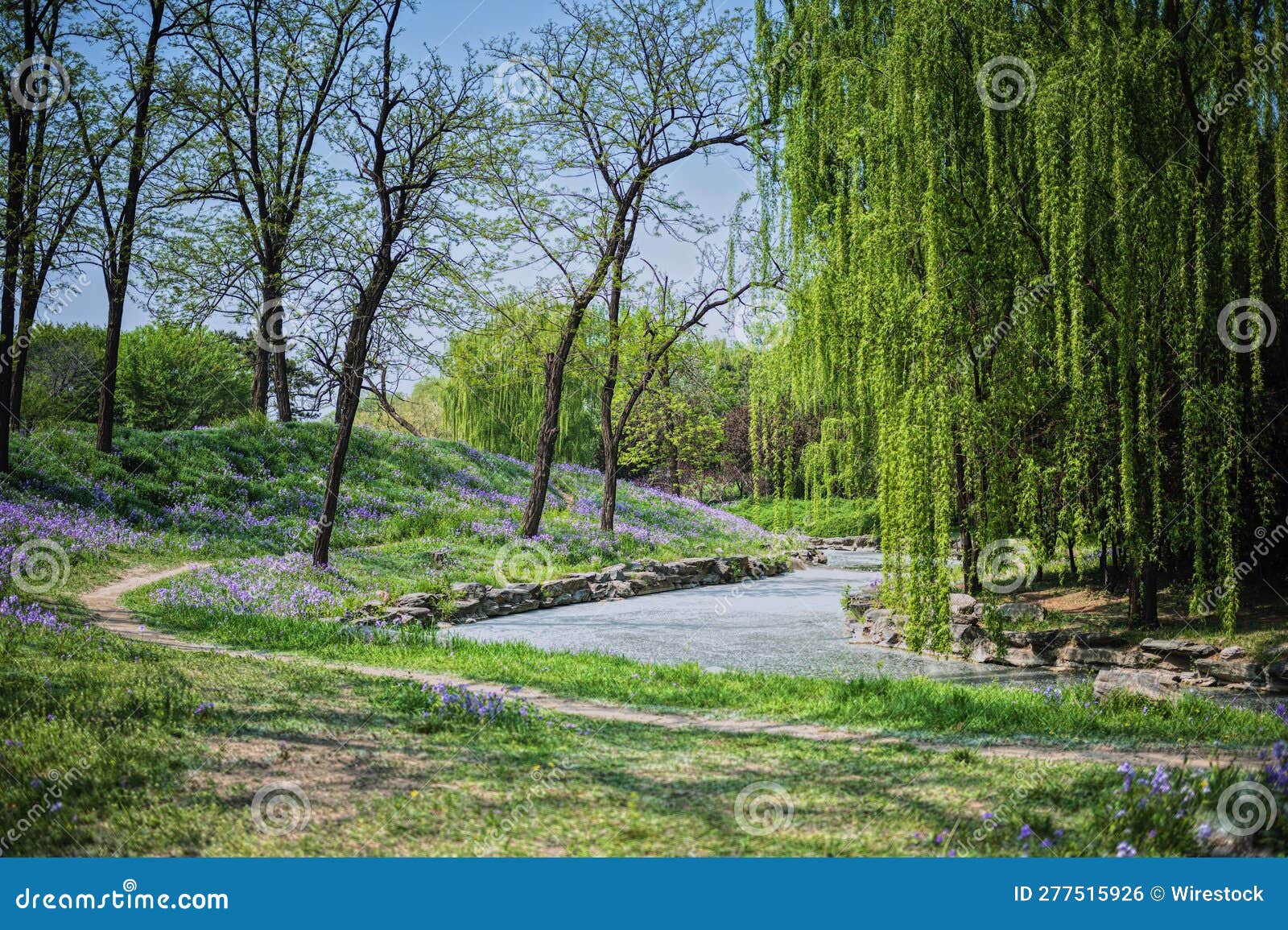 A Path Leads Down a Hill with Trees and Flowers Around it Stock Photo ...