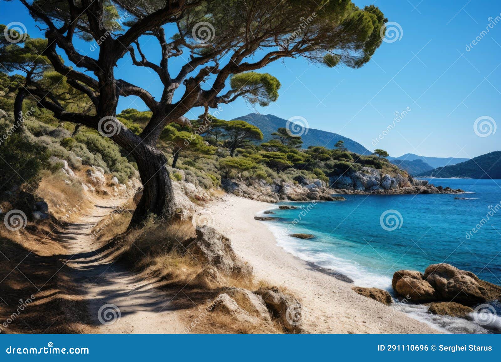 A Path Leads To a Beach with Trees and Water, AI Stock Photo - Image of ...