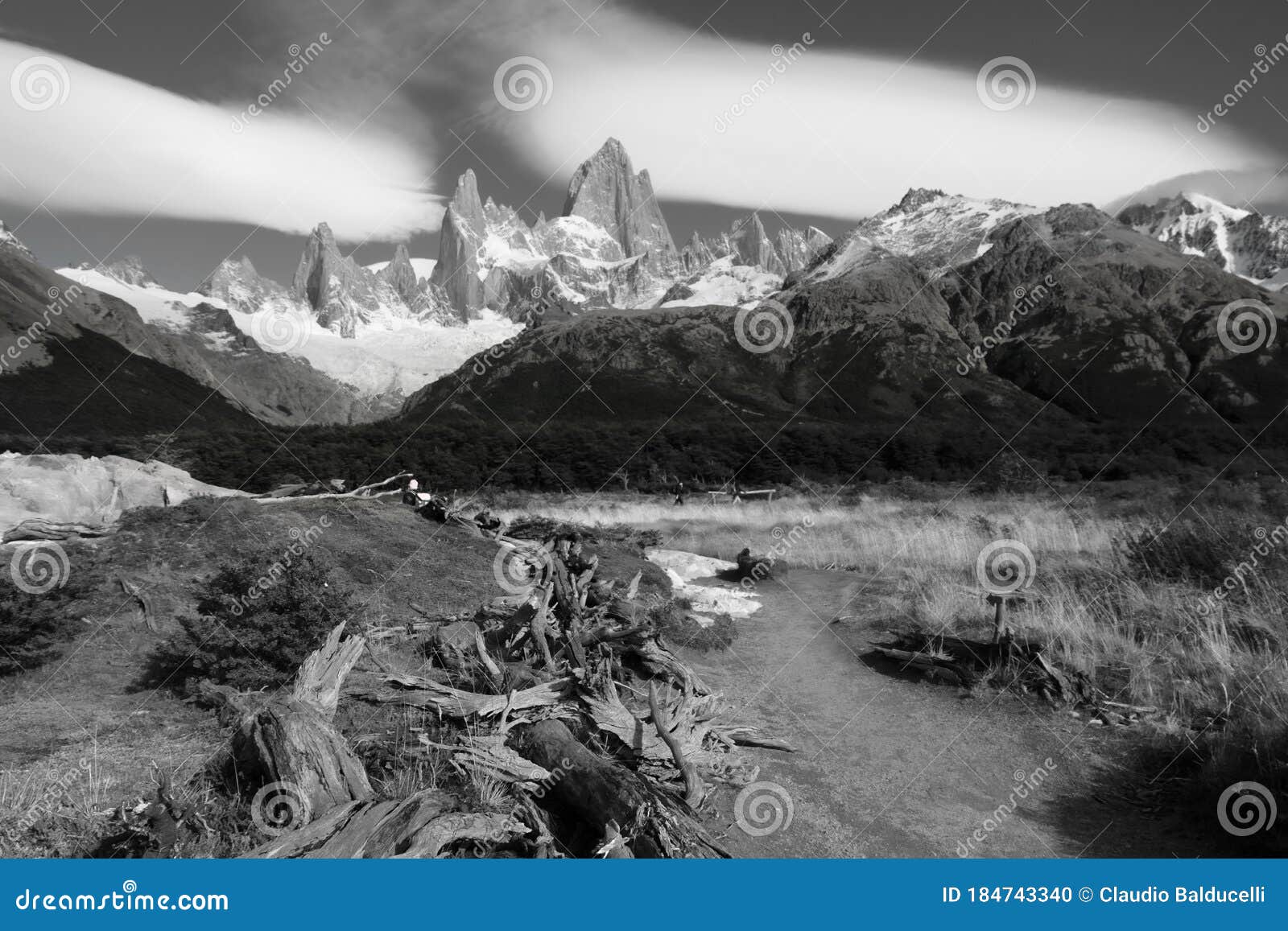 The Path that Leads To the Mount Fitz Roy in a Black and Withe Picture ...