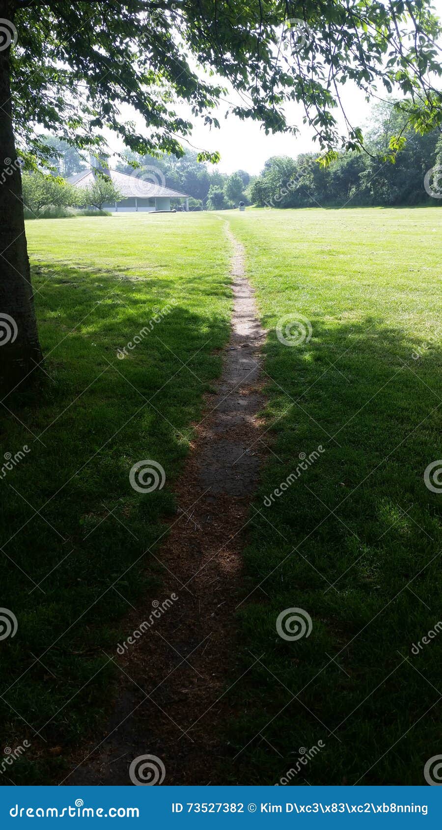 Path of life stock photo. Image of life, nature, path - 73527382