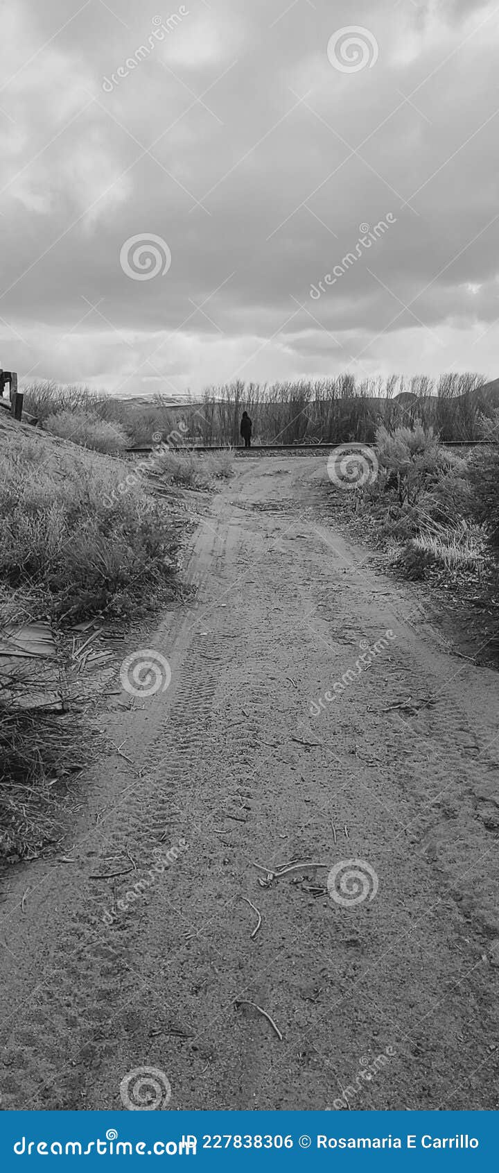 Path of Life Trail Black and White Stock Photo - Image of winter, life ...