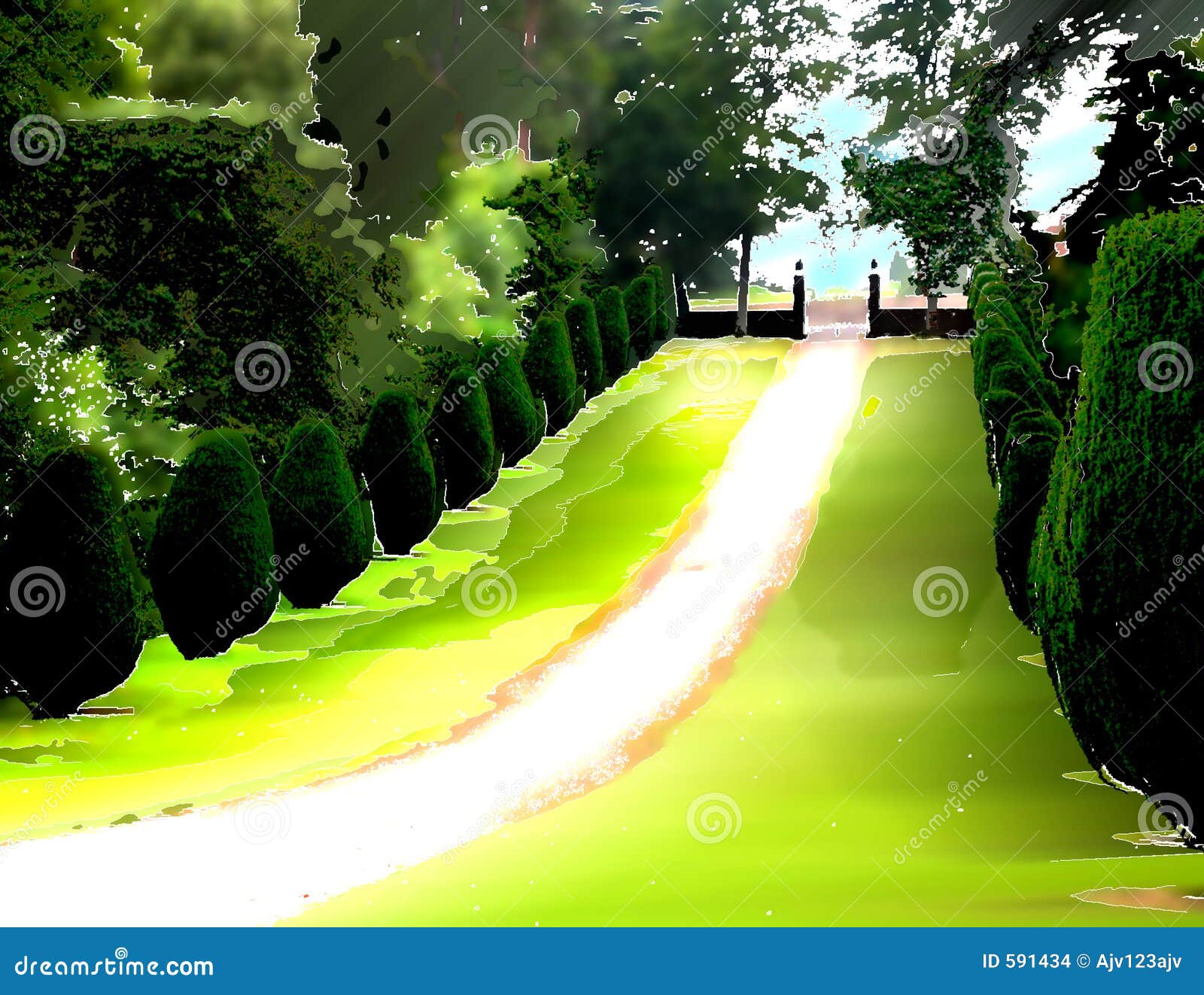 Path of life with trees stock illustration. Illustration of life - 591434