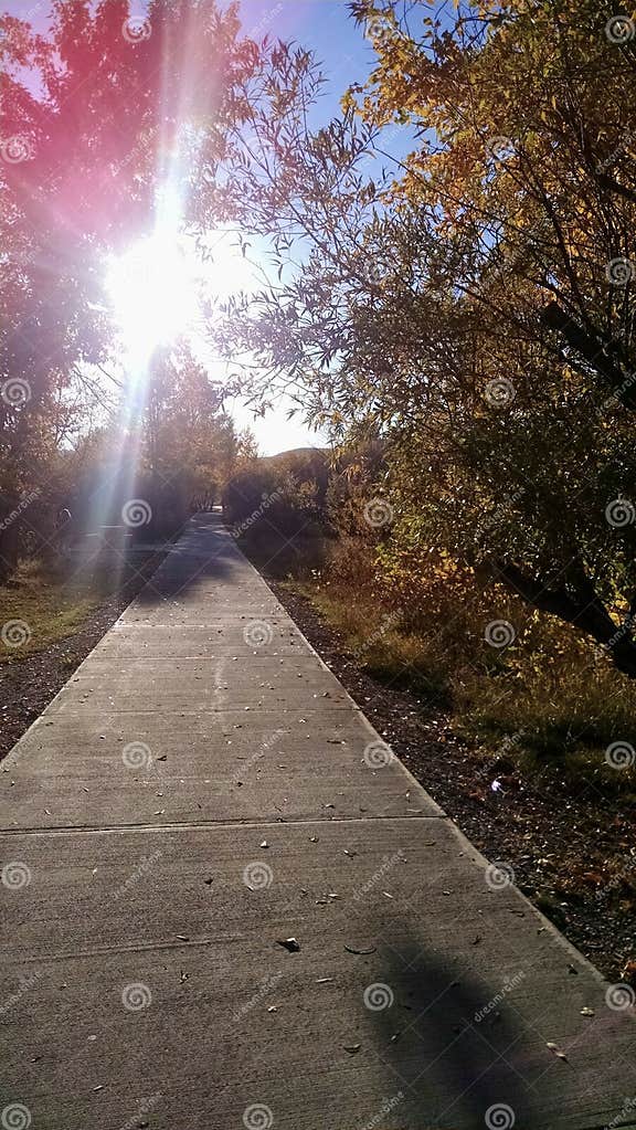 Path into the Light stock image. Image of trail, forest - 112609885