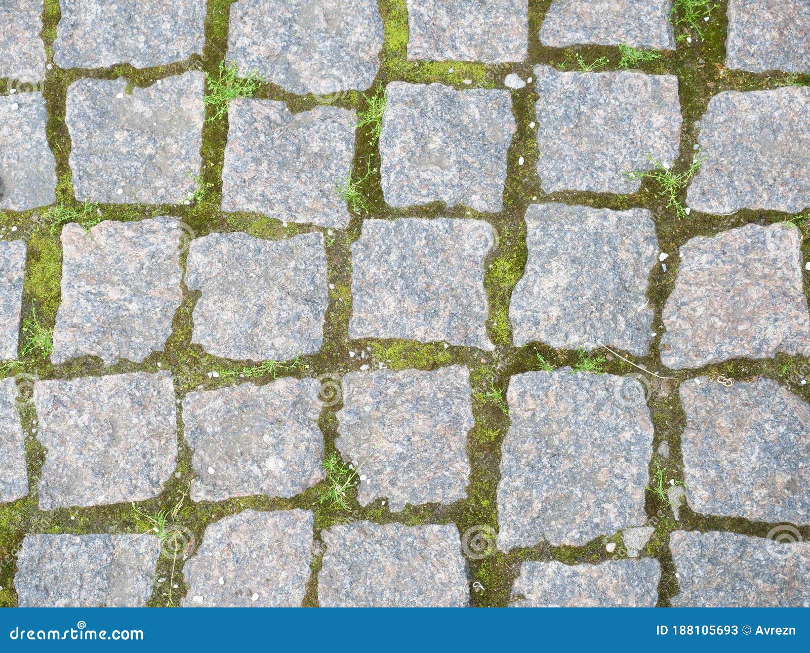 Path Lined with Blocks with Grass in between, Top View Stock Image ...