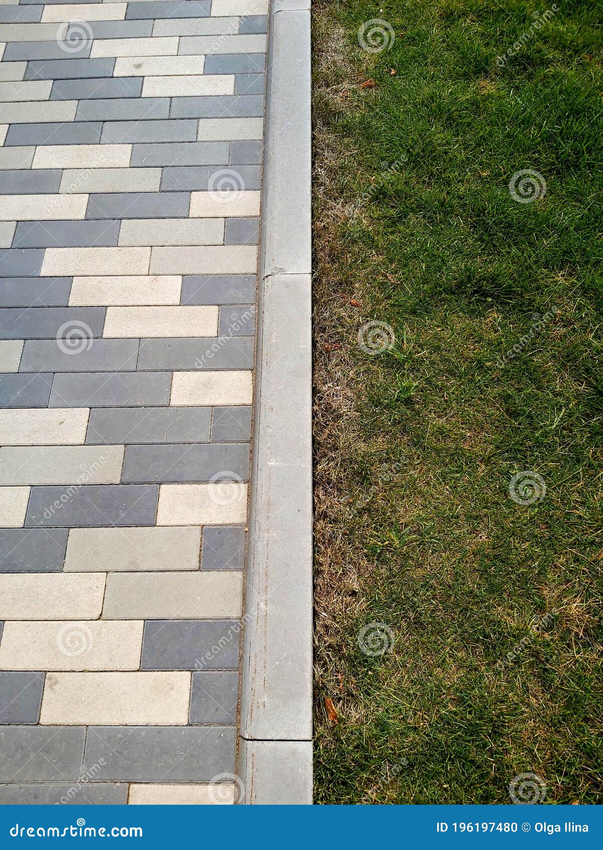 Path and lawn. stock photo. Image of lawn, grass, green - 196197480