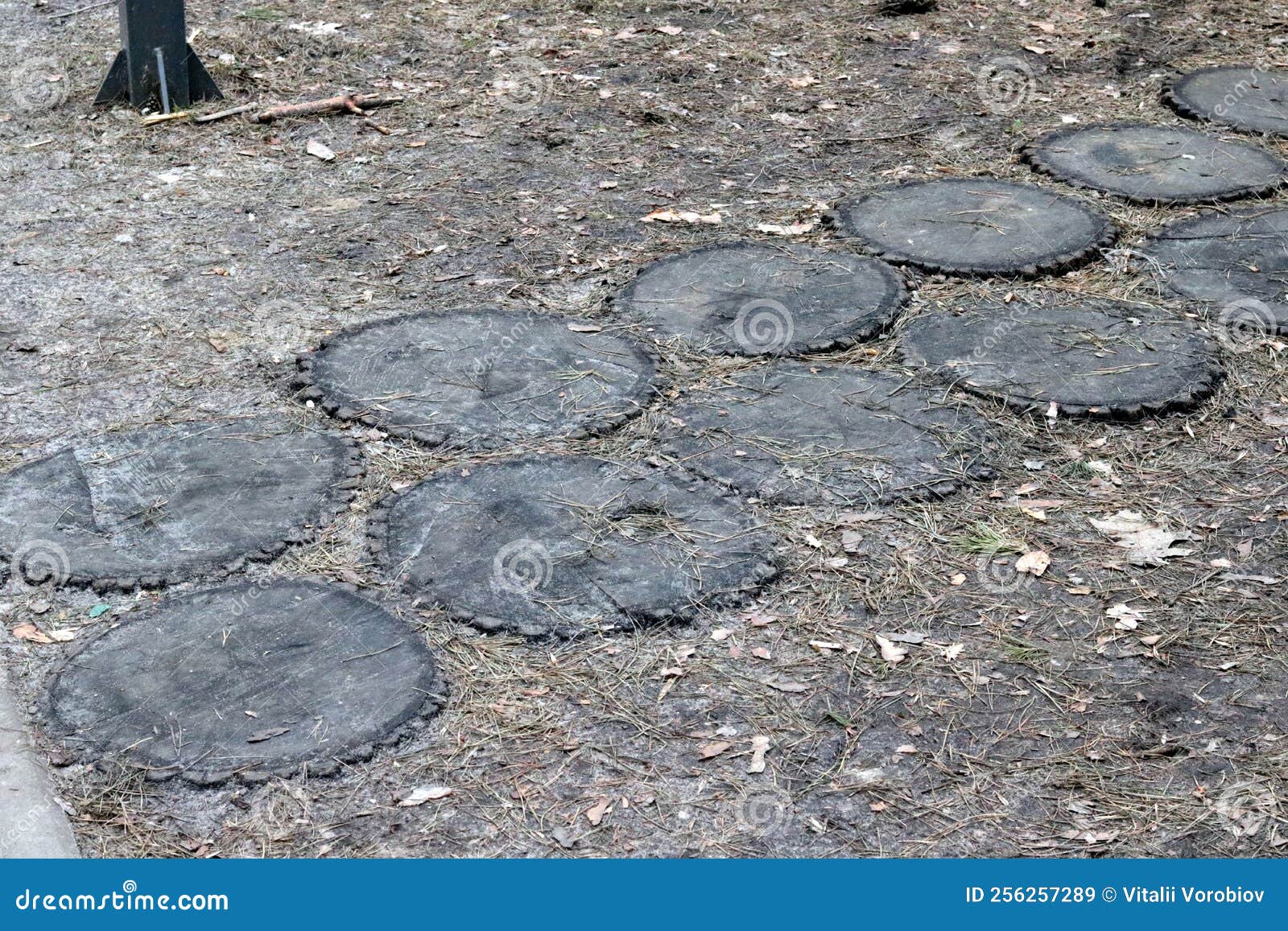 Walking Path Lined with Logs in the Forest Stock Image - Image of ...