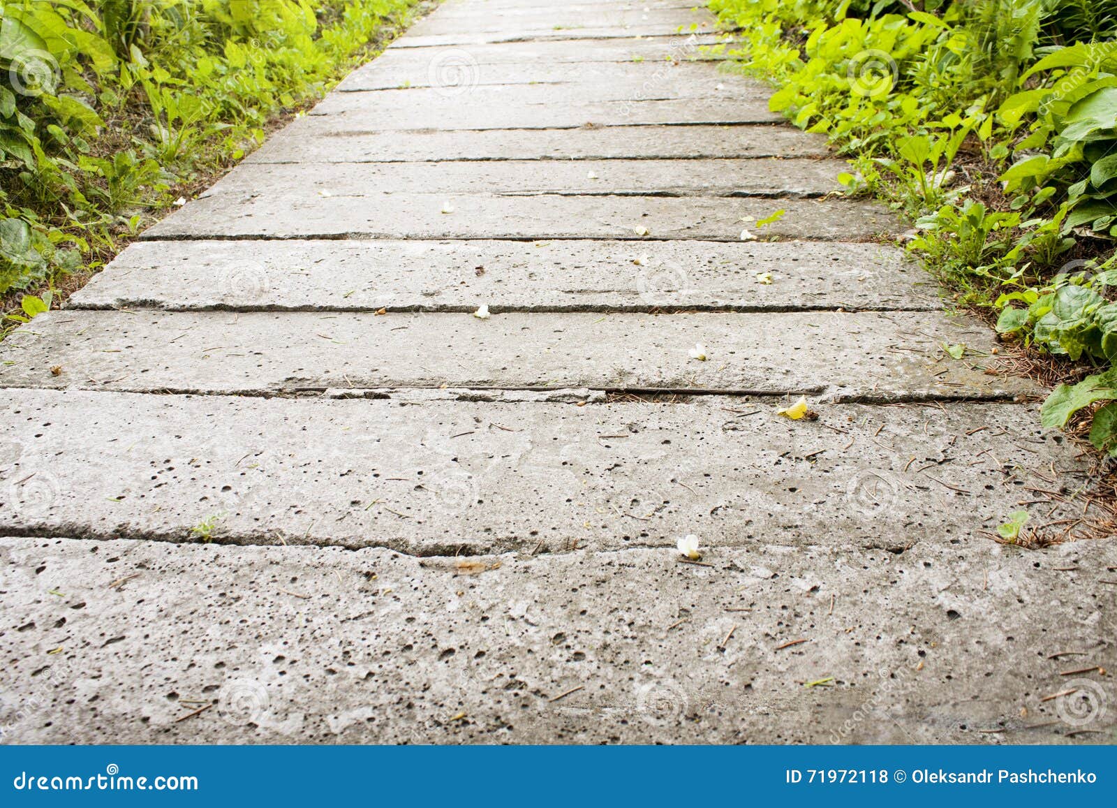 Path lined with plates stock photo. Image of level, floor - 71972118