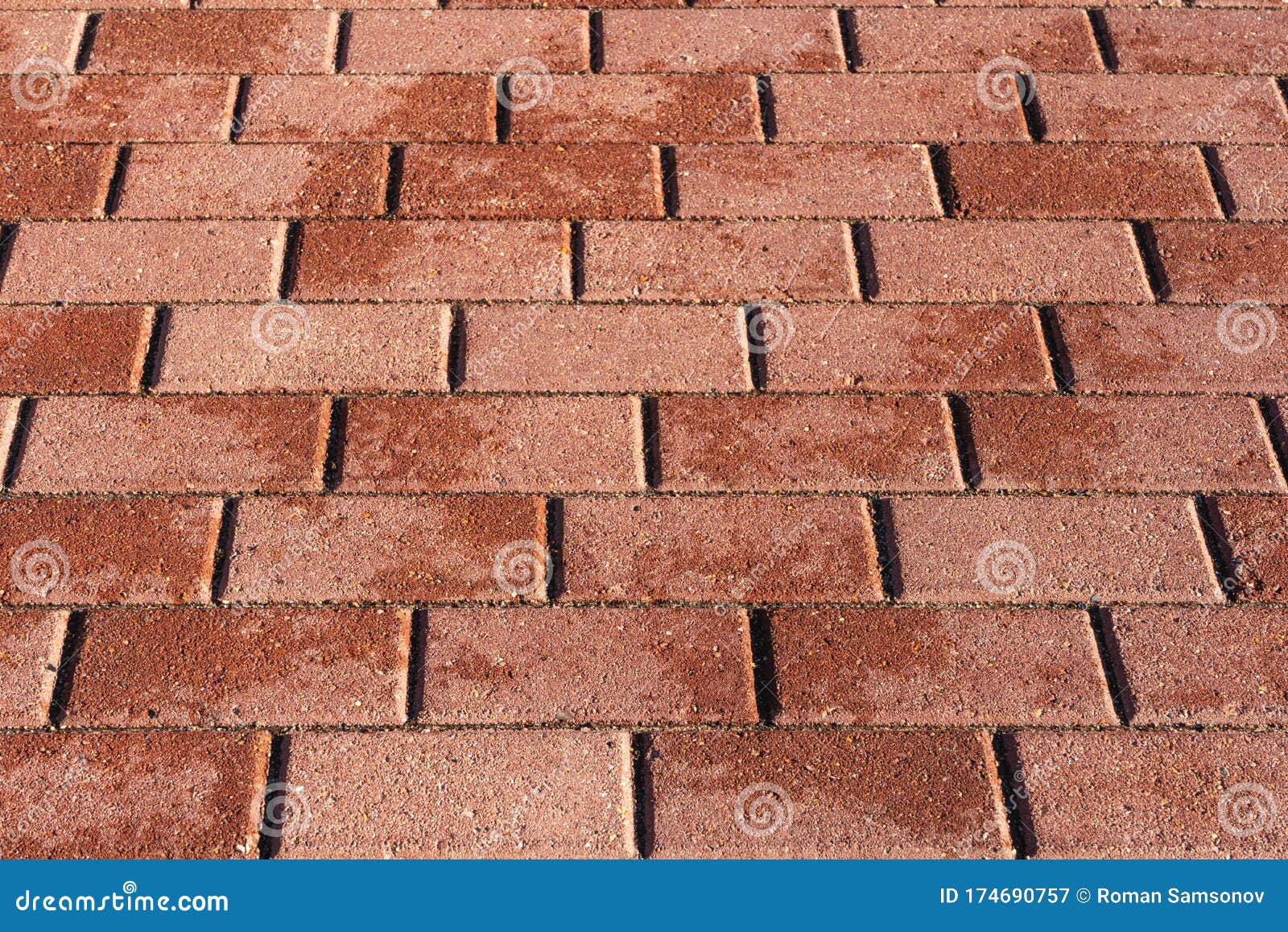 The Path is Lined with Red Paving Tiles Stock Image - Image of road ...